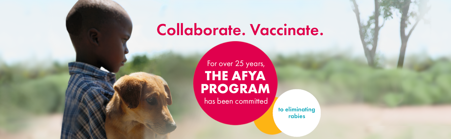 Afya for a World Free of Rabies | The Afya Program